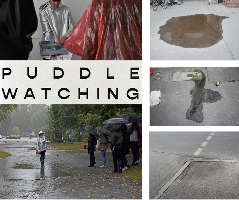 Puddle Watching walk