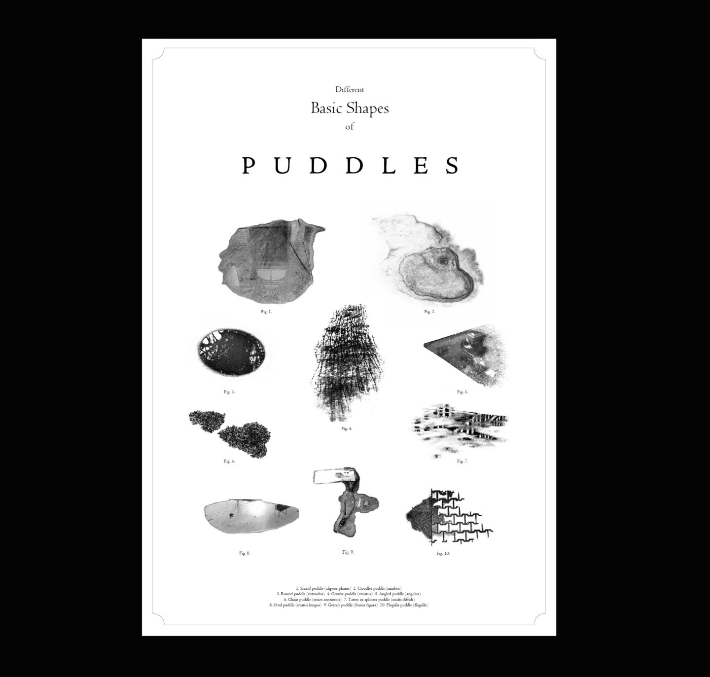 different basic shapes of PUDDLES
